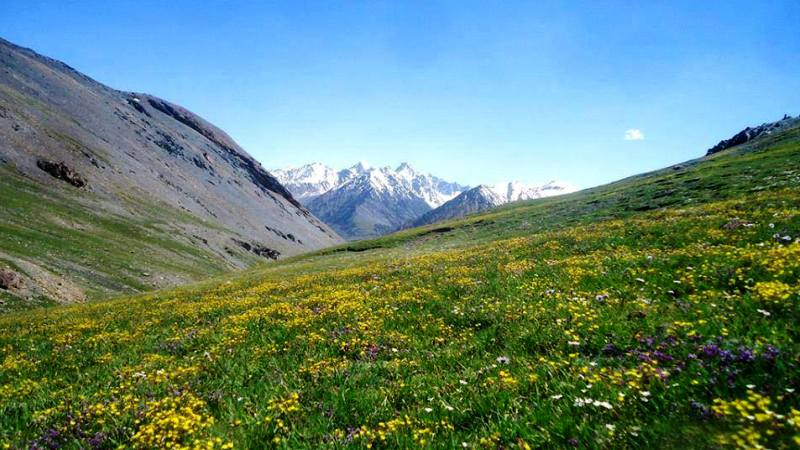 Kilik & Mintaka Pass Trek